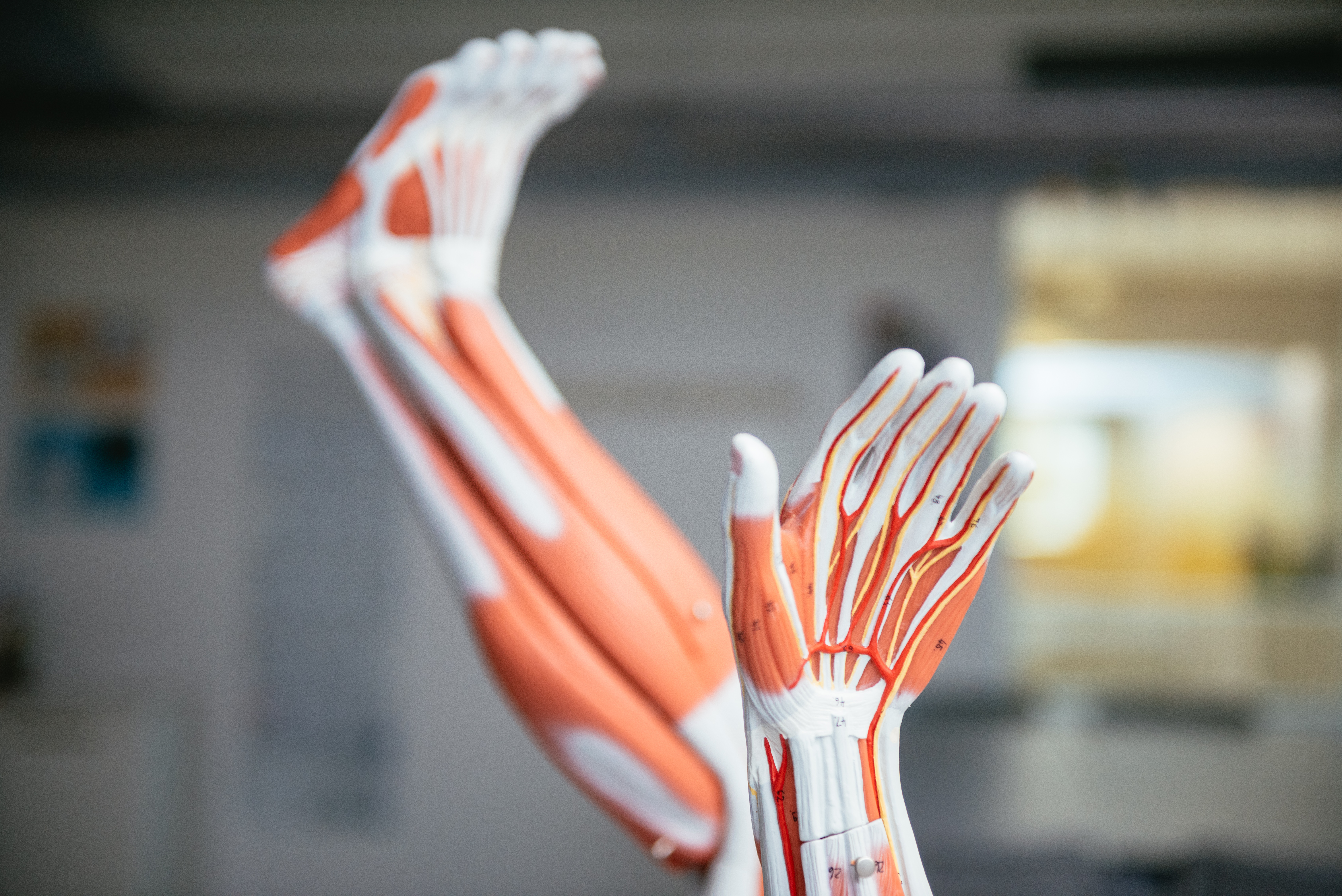 Science - Diploma - Cardiff and Vale College